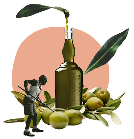 Olio Barbera